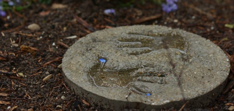 How to Make Handprint Stepping Stones | 10 Easy Steps (2026)