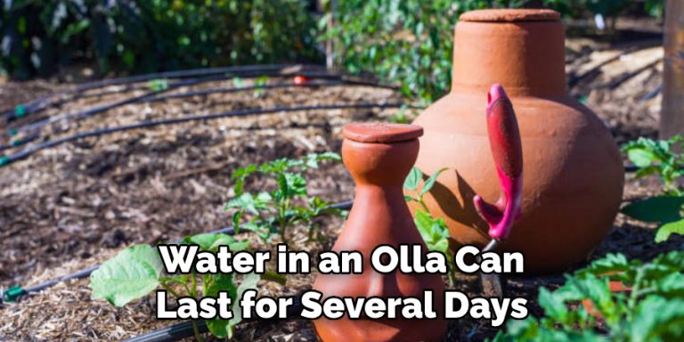 How to Make Ollas From Clay Pots | 10 Easy Steps (2026)