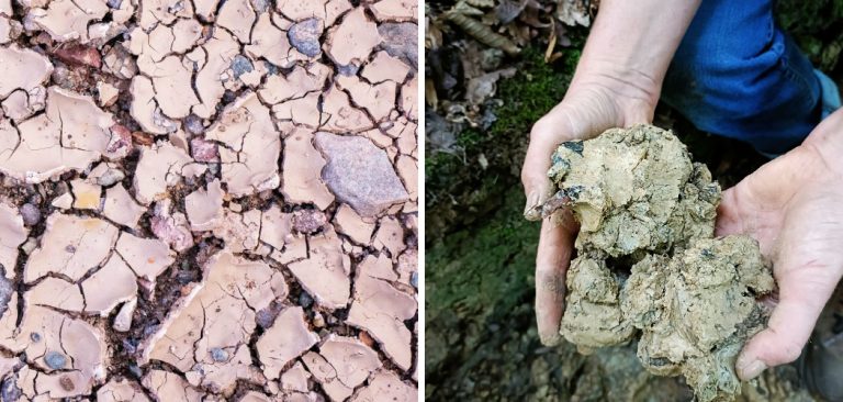 How to Find Wild Clay | 8 Easy Steps (2025)