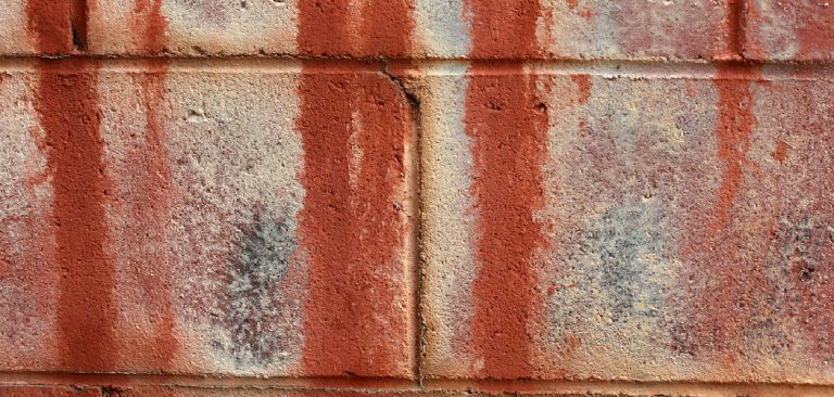 How to Remove Red Clay Stains | 10 Effective Methods (2025)
