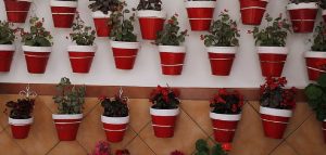 How to Decorate Flower Pots for Christmas | 10 Effective Methods