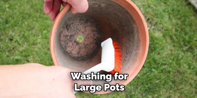 How to Clean a Flower Pot | 10 Effective Methods (2026)