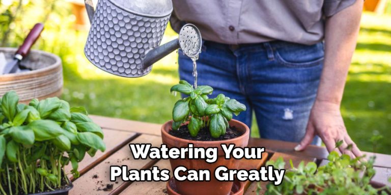 How to Clean Hardwater Deposits on Outdoor Pots | Easy Guide